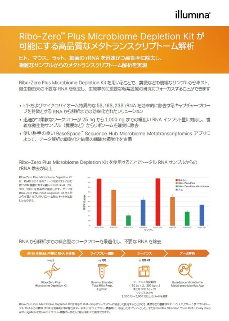 キャンペーン - サイサチ